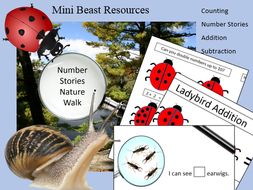 Minibeasts Numeracy | Teaching Resources