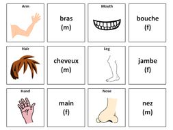 Parts Of The Body: French Vocabulary Card Sort | Teaching Resources