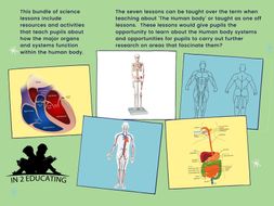 KS2 Science Human Body Systems Bundle | Teaching Resources
