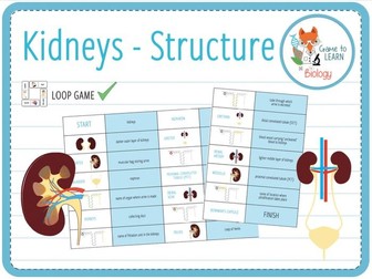 The Kidneys - 15x Activities and Games Bundle (KS4) | Teaching Resources