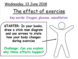 Effect of Exercise | Teaching Resources
