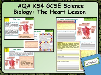 KS4 AQA GCSE Biology (Science) Biological Organisation Bundle | Teaching Resources