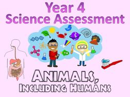 Year 4 Science Assessment: Animals, Including Humans | Teaching Resources