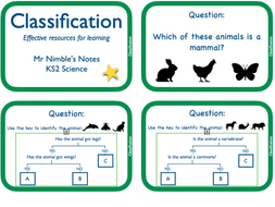 Year 4 Quiz Cards - Classification | Teaching Resources