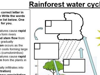 GCSE 9-1; Ecosystems and rainforests by ReallyGoodGeography - Teaching ...