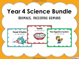Teeth - Year 4 | Teaching Resources