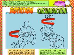 NEW GCSE PE – Unit 1 – Topic 1 – Lesson 3 - Joint Classification and ...