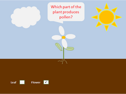 KS1 Plant Science Slideshow | Teaching Resources