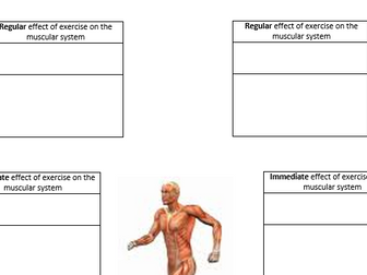 GCSE PE AQA New 2016 muscular & skeletal system | Teaching Resources