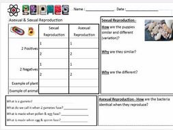 Asexual & Sexual Reproduction Lesson - AQA GCSE (4.6.1) (B13.1 ...