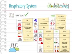 Respiratory System - Loop Game (KS4) | Teaching Resources