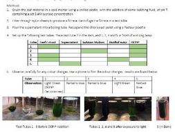 A Level Biology Core Practical Guide | Teaching Resources