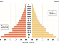 Population pyramids, Population pyramids & the demographic transition ...