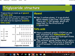 OCR A level Biology (H020) Module 2 - Biological molecules - Lipids ...