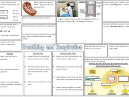 AQA L3 APPLIED SCIENCE: UNIT 1 BIOLOGY REVISION. | Teaching Resources