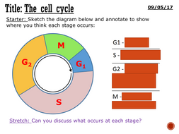 The cell cycle - complete lesson (AS/A2) | Teaching Resources