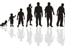 PIES Development Throughout Life Stages | Teaching Resources