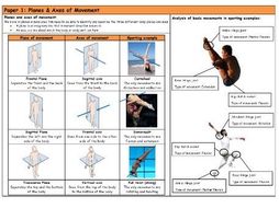 GCSE PE – AQA (9-1) – Planes and Axes of Movement - Knowledge Organiser ...