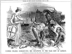 11 - Industrial Revolution - Public Health Source Question | Teaching ...