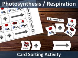 Photosynthesis/Respiration Card Sort & Summary Sheet | Teaching Resources