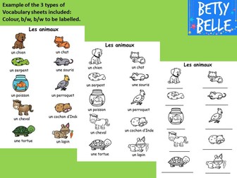 French Animals Les Animaux Bundle | Teaching Resources