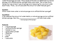 Sea Sponge Absorbency Lab Experiment | Teaching Resources