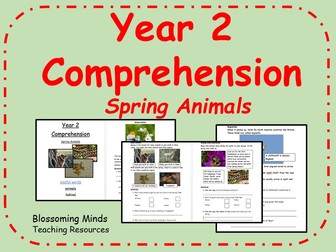Year 2 Reading Comprehension Pack - Seasons by blossomingminds ...