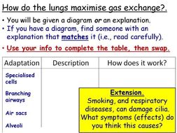 Gas Exchange in the Lungs Year 8 Lesson PowerPoint (KS3 8Cb) Breathing ...
