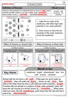 GCSE Biology: Diffusion, Osmosis and Active Transport Worksheet Pack ...