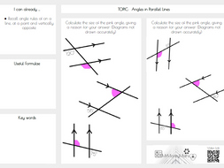 Angles in Parallel Lines | Teaching Resources