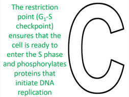 The cell cycle (OCR A-level Biology A) | Teaching Resources