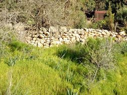 The Mediterranean Biome-Ecosystems and habitats in Cyprus | Teaching ...