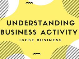 1.1 Understanding Business Activity IGCSE Business | Teaching Resources