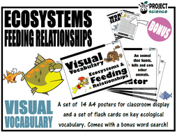 Ecosystems Visual Vocabulary Cards and Word Wall Posters | Teaching ...