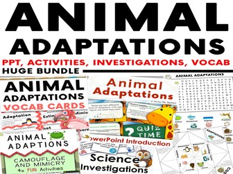 Animal Adaptations Vocabulary Cards | Teaching Resources