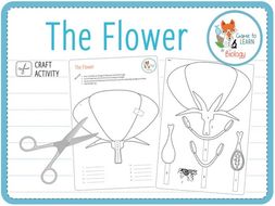 The Flower - Craft activity (KS2/3) | Teaching Resources