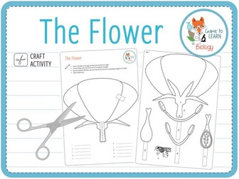The Flower & Plant Reproduction - 12x Games and activities (KS2/3 ...