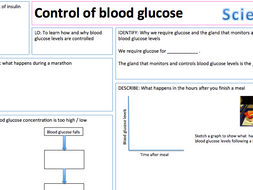 Control of Blood Glucose - Lesson Presentation, A3 Lesson Map ...
