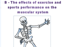 Skeletal system scheme of work - BTEC Sport L3 - Unit 1 Anatomy ...