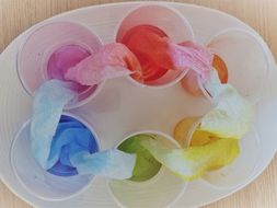 Capillary Action and Rainbow Moving Water Experiment. | Teaching Resources