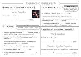 **New** GCSE Biology: Aerobic and Anaerobic Respiration | Teaching ...
