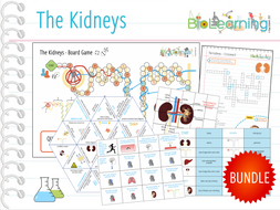 The Kidneys - 11x Games and Activities Bundle (KS4) | Teaching Resources