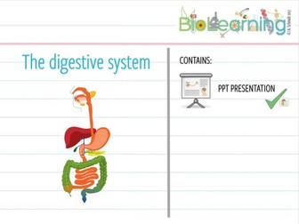 Digestive system - PPT / WS / Loop Game/ Card sort / Crossword - 5 ...