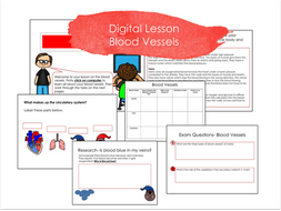 B4.2 Blood Vessels AQA 9-1 Google classroom Lesson and Activities ...