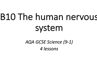 B10.1 Homeostasis | Teaching Resources