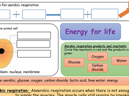 Respiration KS3 support | Teaching Resources