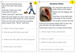 Phonics Phase 4 Reading Comprehension Booklet | Teaching Resources