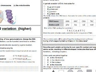 Revision mat Bundle | Teaching Resources