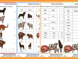 Year 2 Animals and their Offspring Science Resource | Teaching Resources