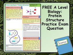FREE A Level Biology Protein Structure Practice Exam Question ...